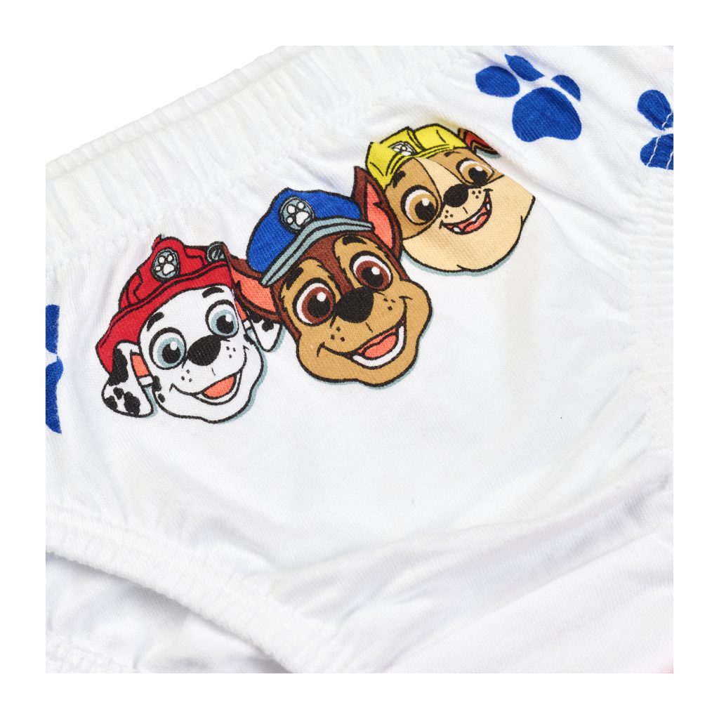 Paw patrol Boys Briefs, Pack of 5 Underwear - Characterville