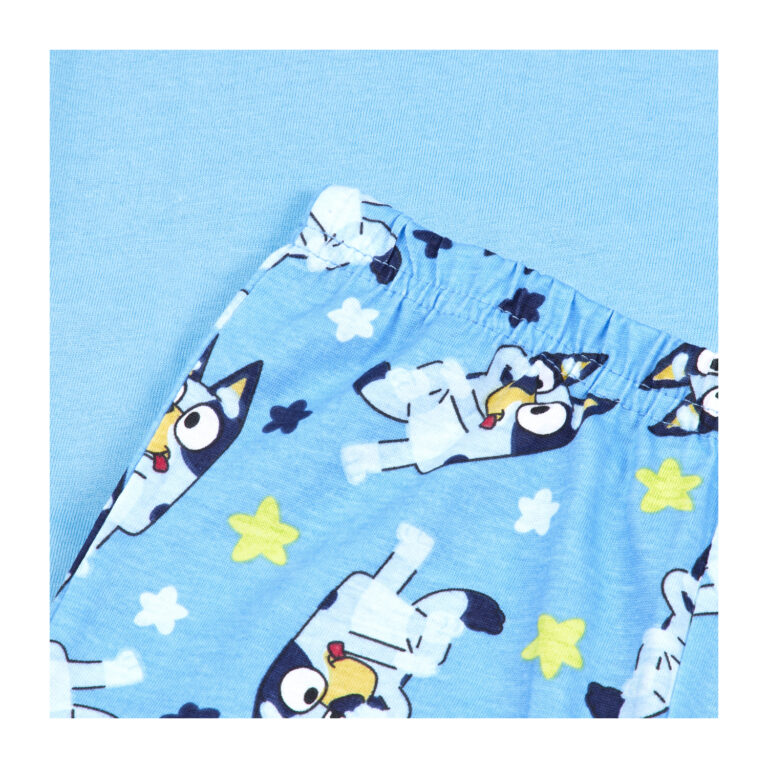 Bluey Boys Long Pyjamas Bluey & Bingo Pjs - Characterville